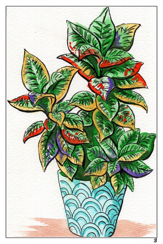 Plants and Flowers themed watercolor coloring book – Wondering Watercolor