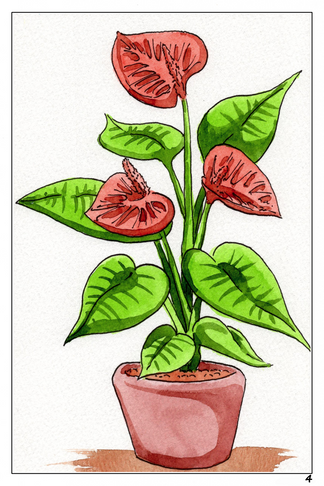 Plants and Flowers themed watercolor coloring book – Wondering Watercolor