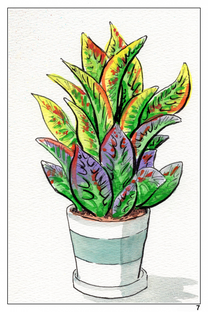 Plants and Flowers themed watercolor coloring book – Wondering Watercolor