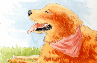 Cute Dog Watercolor Book – Paint Adorable Pups with Ease! – Wondering ...