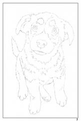 Cute Dog Watercolor Coloring Book – Paint Adorable Pups with Ease ...